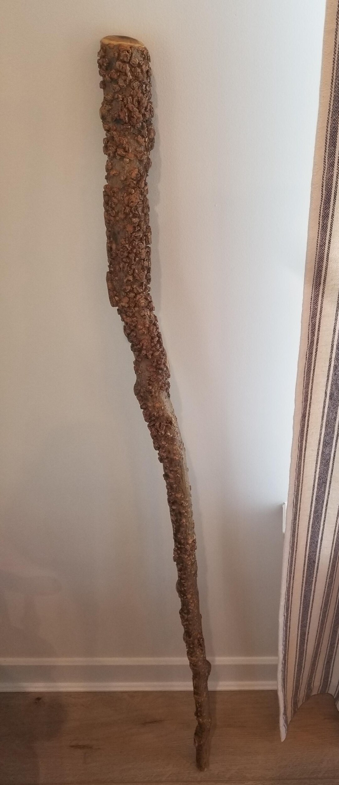 Hackberry Wood Walking Stick: Knobby Texture, Tung Oil Finish, 52" - Etsy