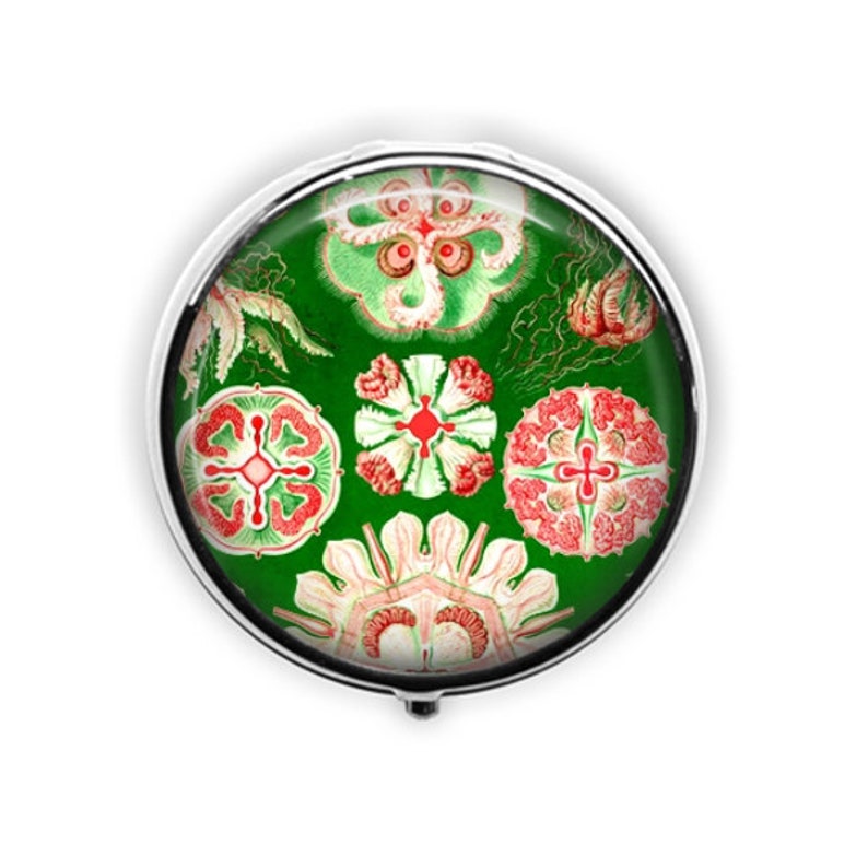 Marine Life Pill Box Sea Squirt Pill Case Vintage Ocean - Etsy