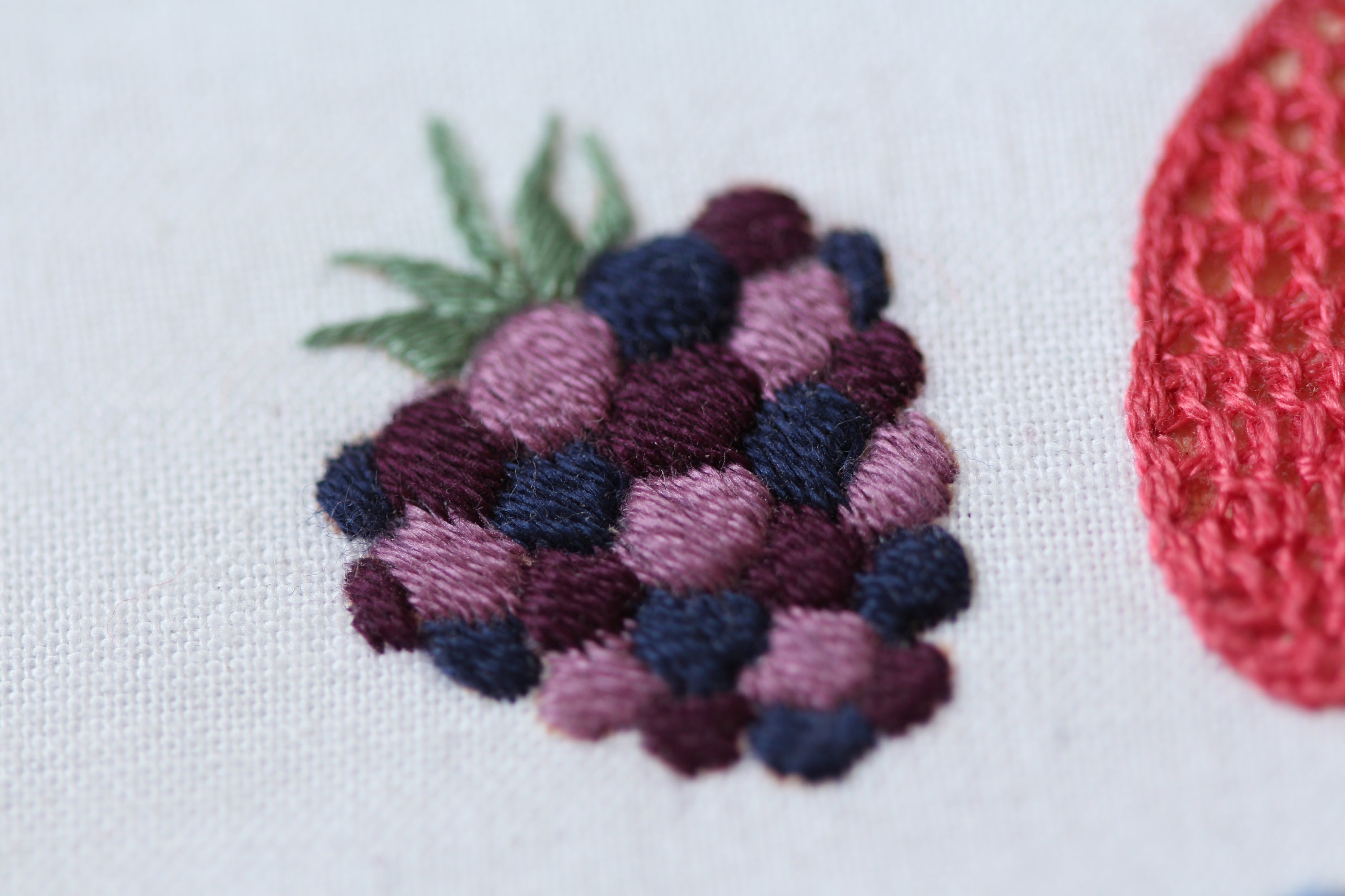 Berries Embroidery Stitch Sampler | Etsy