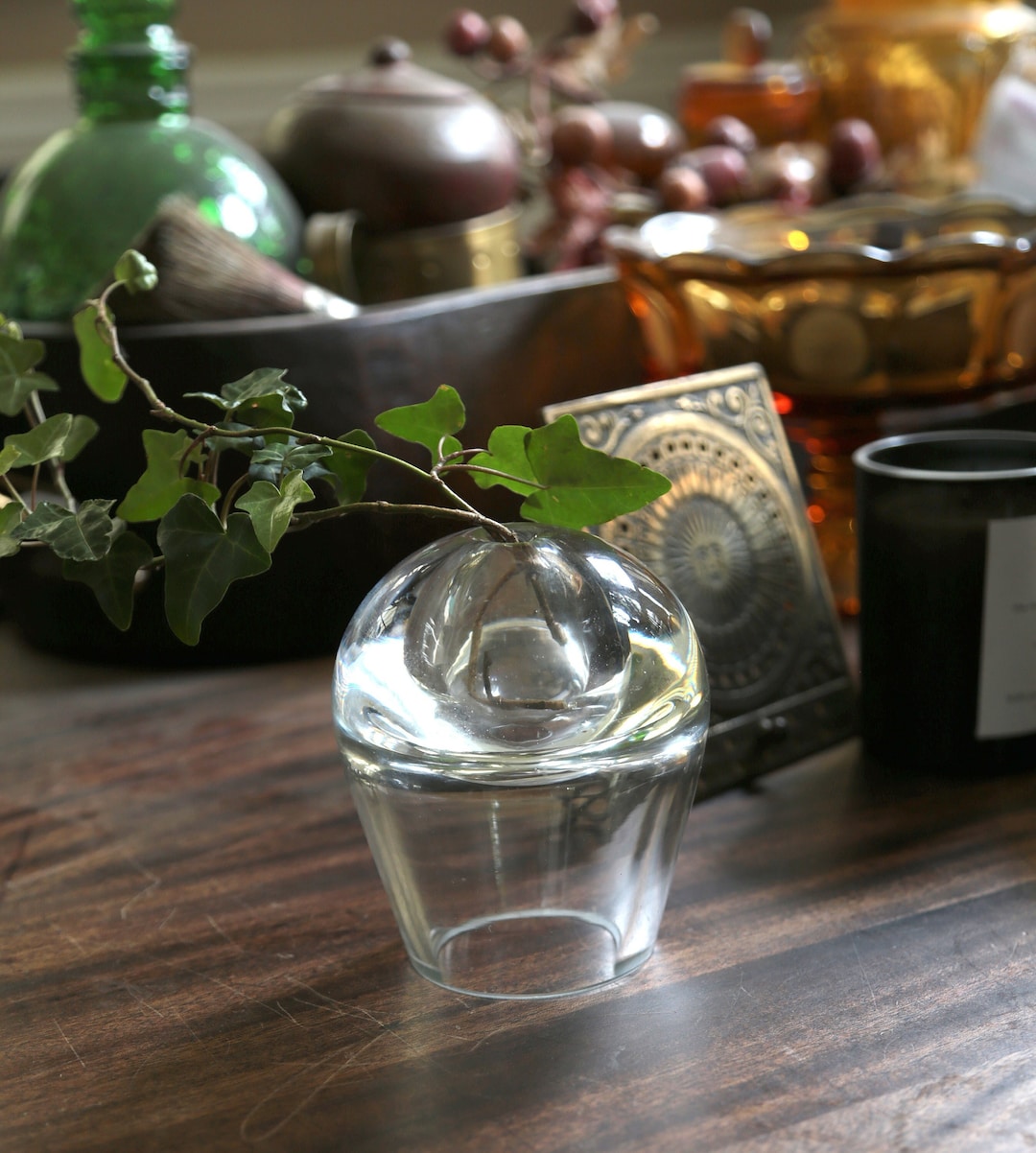 Vintage Clear Orb Propagation Vase, Round Teardrop Shape, Bud Vase ...