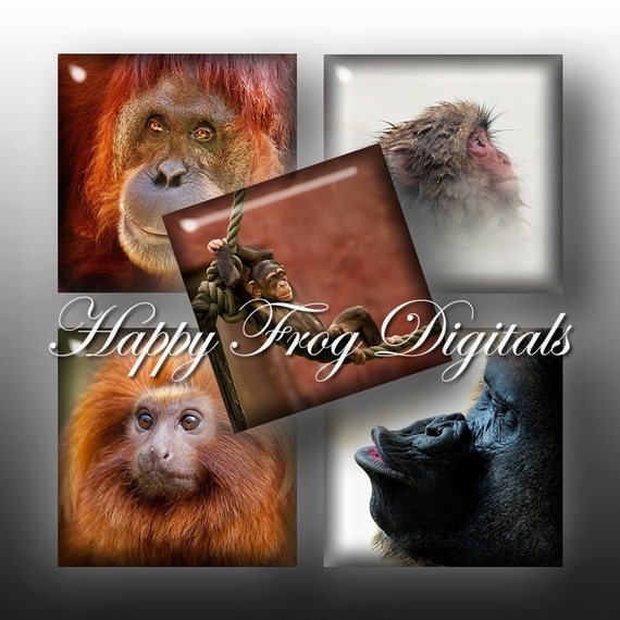 Monkeys 1.5x1.5 1x1 25x25 mm | Etsy