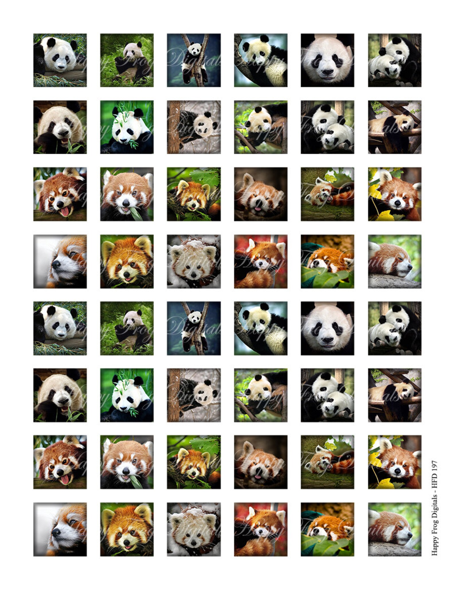 Panda Bears 1.5x1.5 1x1 25x25 Mm - Etsy