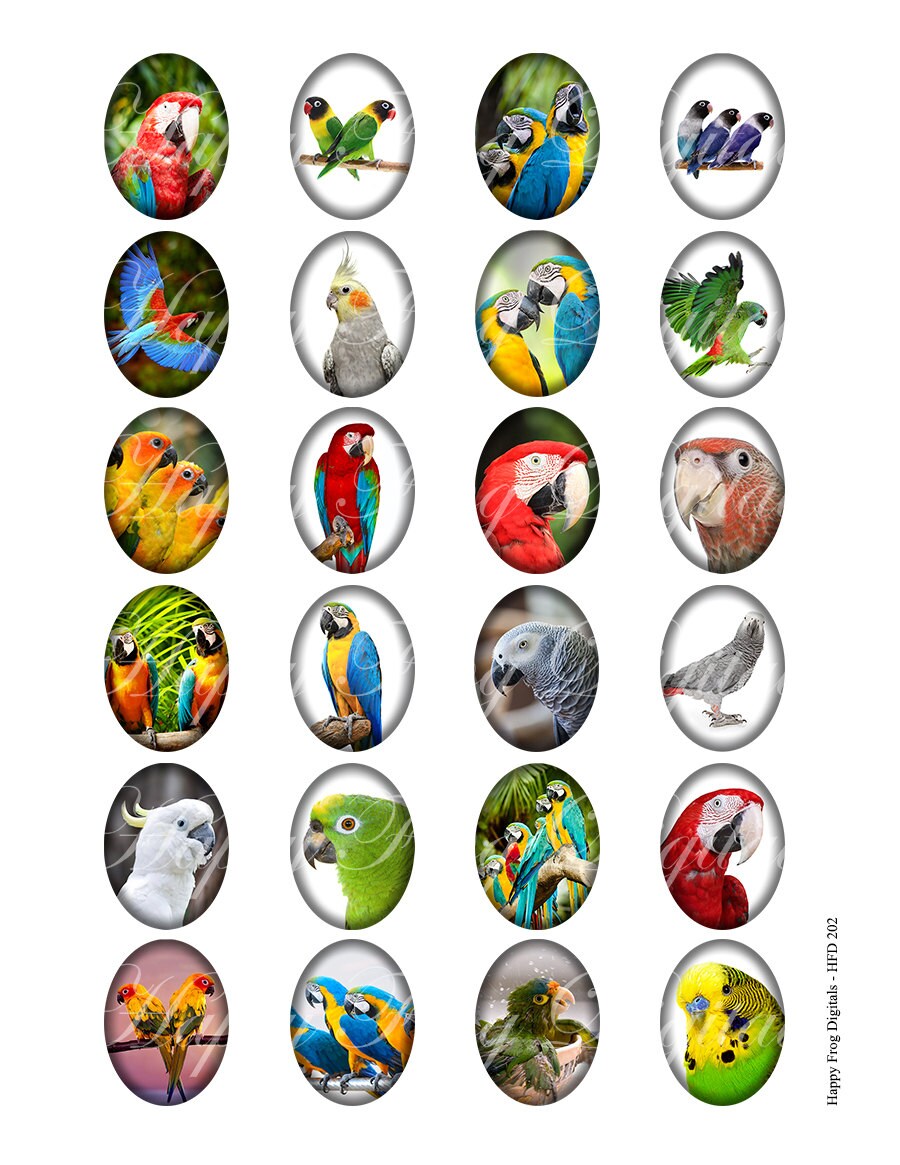 Parrots - 30x40, 18x25 and 13x18 Mm Ovals - Digital Collage Sheet - 202 HFD - Printable Download ...
