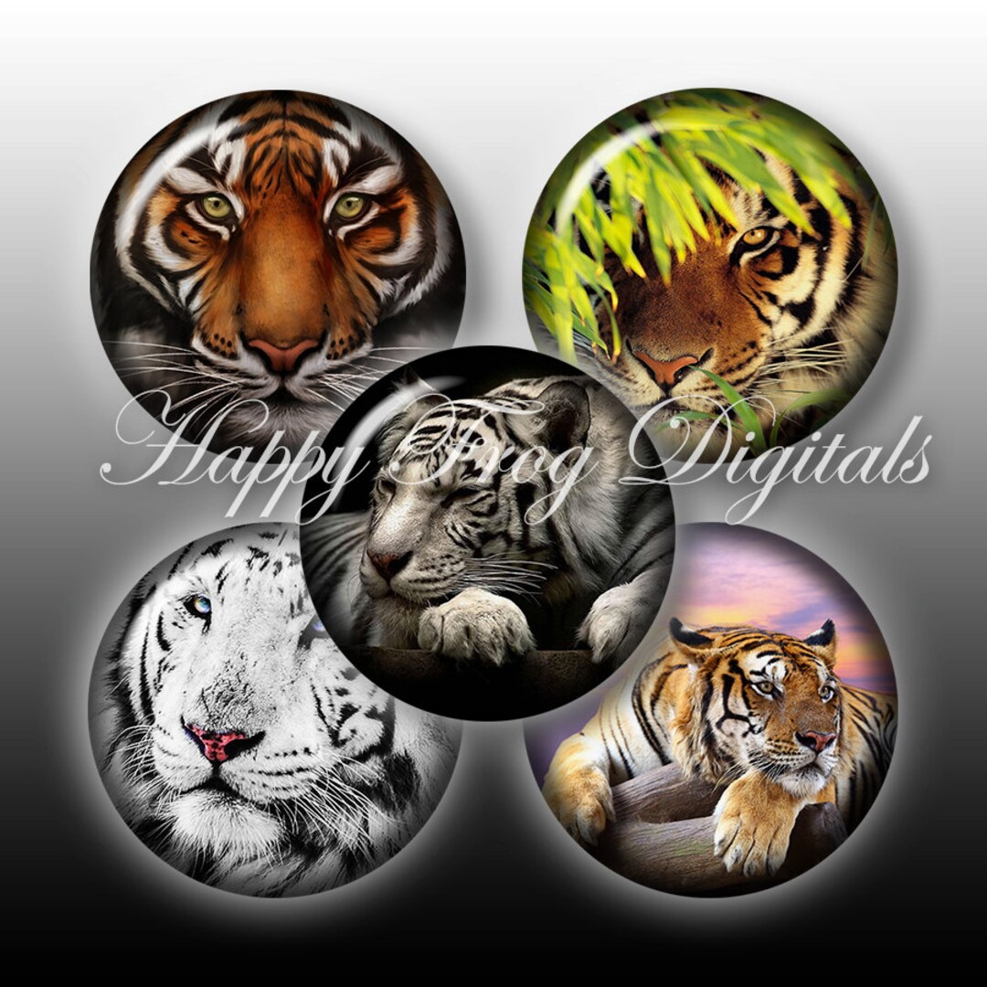 Tigers - 1.5", 1", 25 Mm, 30 Mm Circles - Digital Collage Sheet - 183 ...