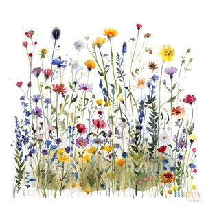 10 Wildflower Meadows Clipart Set Spring Flowers Clipart Printable ...