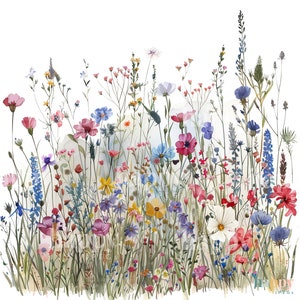 10 Wildflower Meadows Clipart Set Spring Flowers Clipart Printable ...