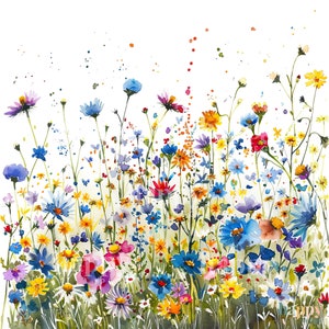 10 Wildflower Meadows Clipart Set Spring Flowers Clipart Printable ...