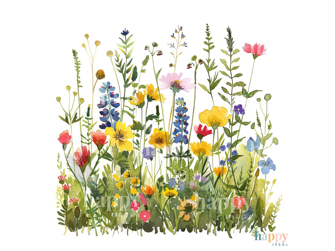 10 Wildflower Meadows Clipart Set Spring Flowers Clipart Printable ...