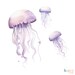 10 Jellyfish Clipart Set Printable Watercolour Clipart Under the Sea ...