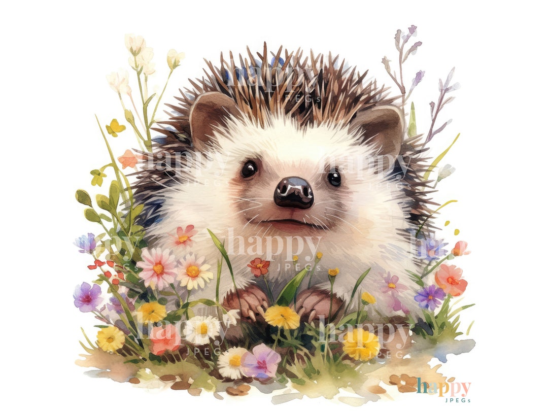10 Cute Hedgehog Clipart Bundle Printable Watercolour Clipart Baby ...