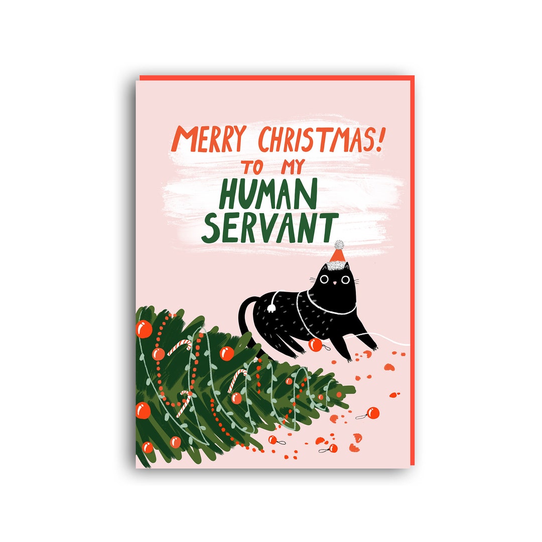 Funny Cat Christmas Card Card From The Cat Cat Dad Cat Mum Christmas funny-cat-christmas-card-card-from-the-cat-cat-dad-cat-mum-christmas