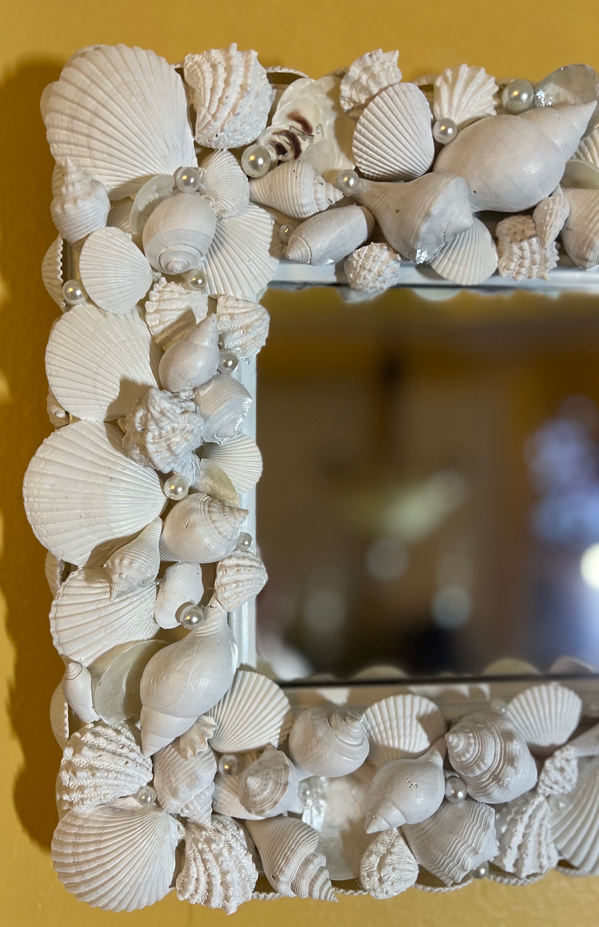 Handmade Seashell Mirror - Etsy
