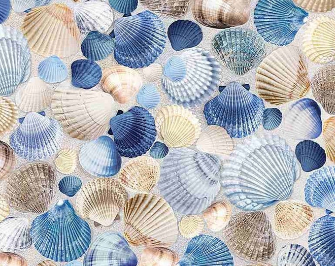 Beach Fabric, Sea Shells Fabric, Beach Shells Fabric by Timeless ...