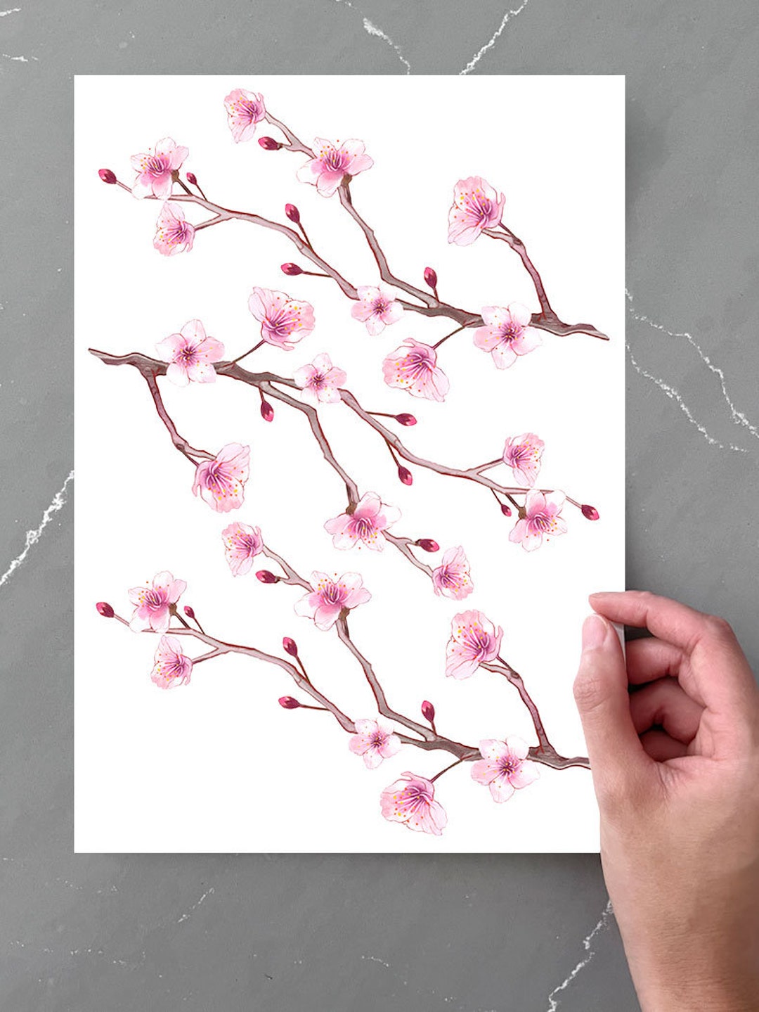 Digital Cherry Blossoms Art Printable Cherry Blossoms Clipart Sakura ...