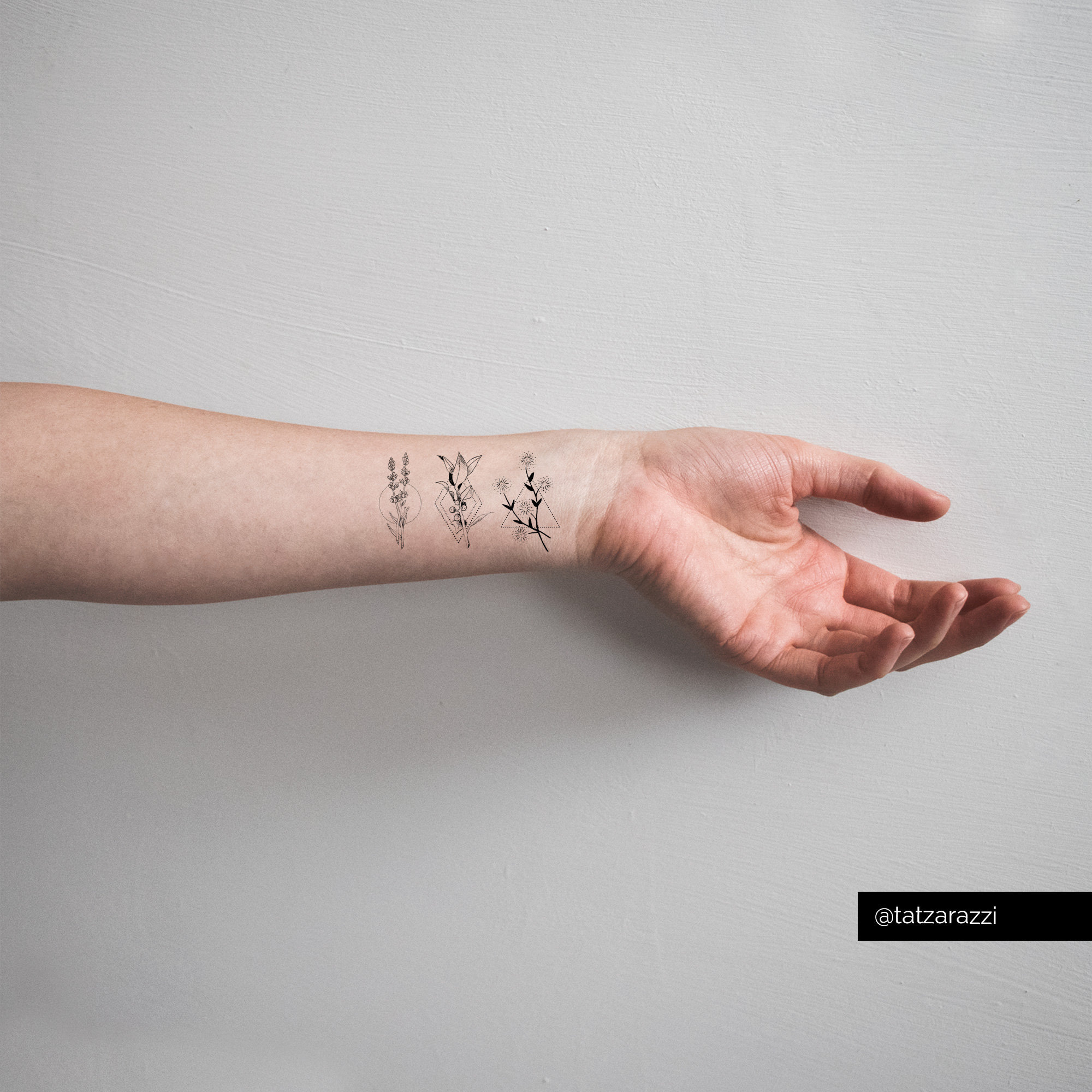 Holly Plant Tattoo