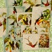 Instant Download PRINTABLE Fairytale Vintage Bird Wallpaper 8.5X11 ...