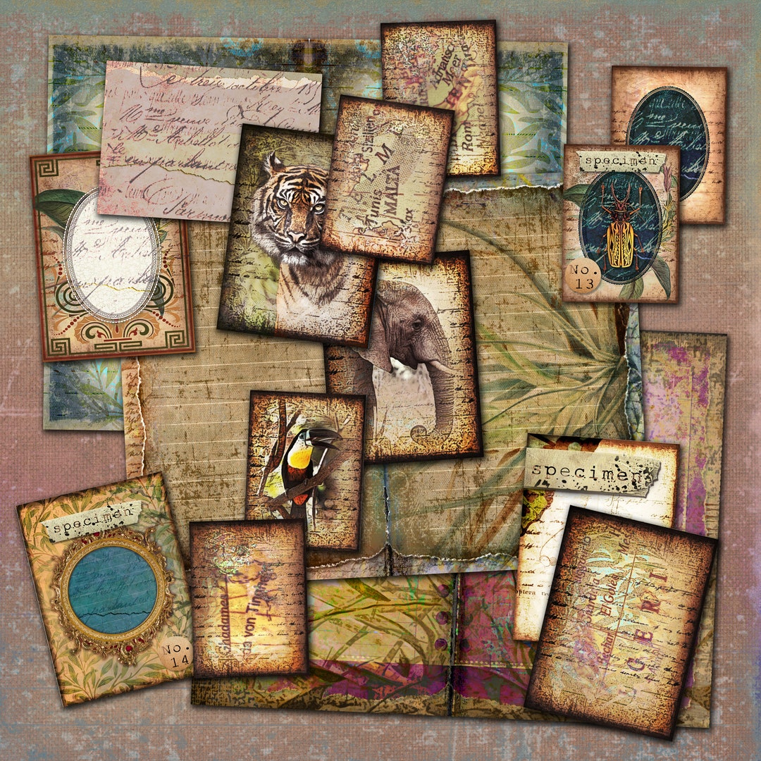 Instant Download Printable Retro Jungle Safari Junk Journal Kit Vintage ...