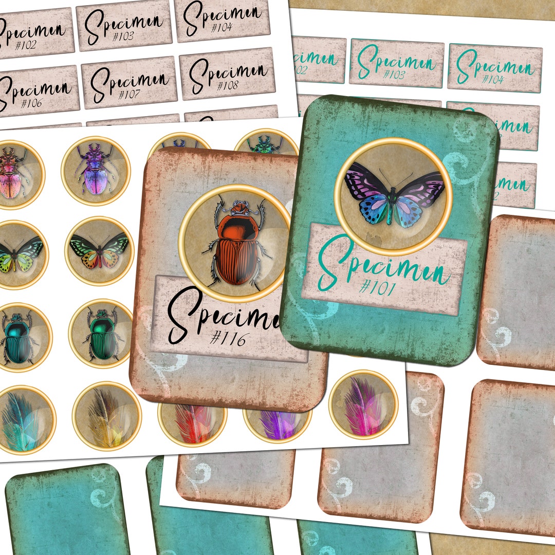 Instant Download Printable Junk Journal Specimens Kit Scrapbooking ...