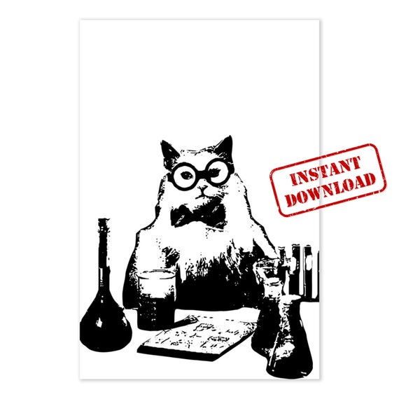 Science Cat Meme