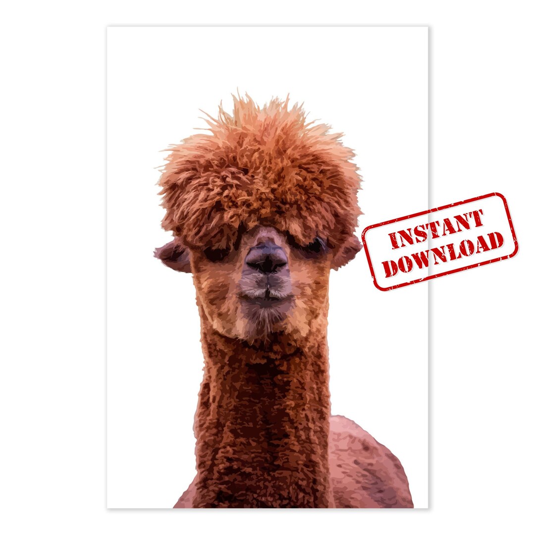 Digital Download Funny Llama Poster Minimalist Animal Wall Art DIY ...