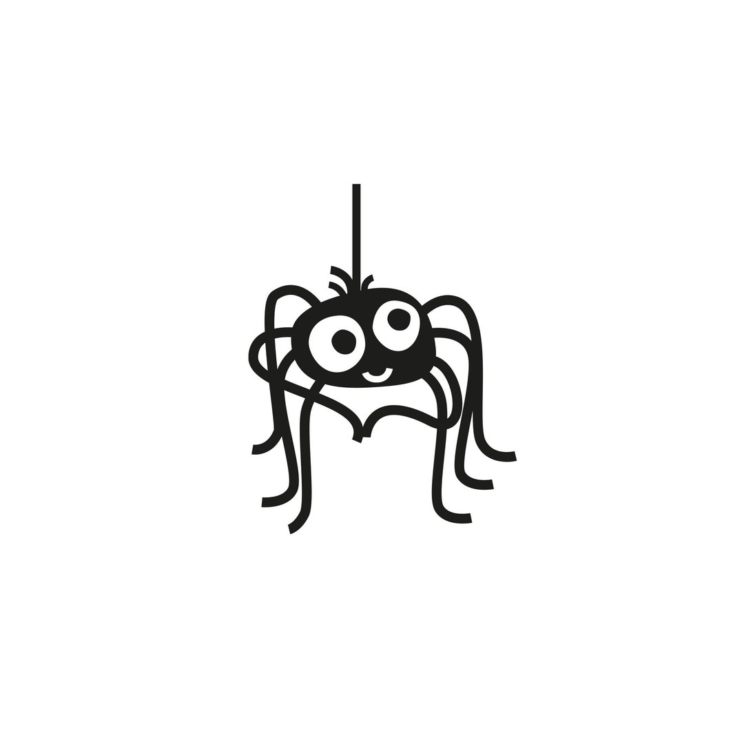 Outdoor Sticker SPIDER Illustration Car Decals Animals on Tour Pictures ...