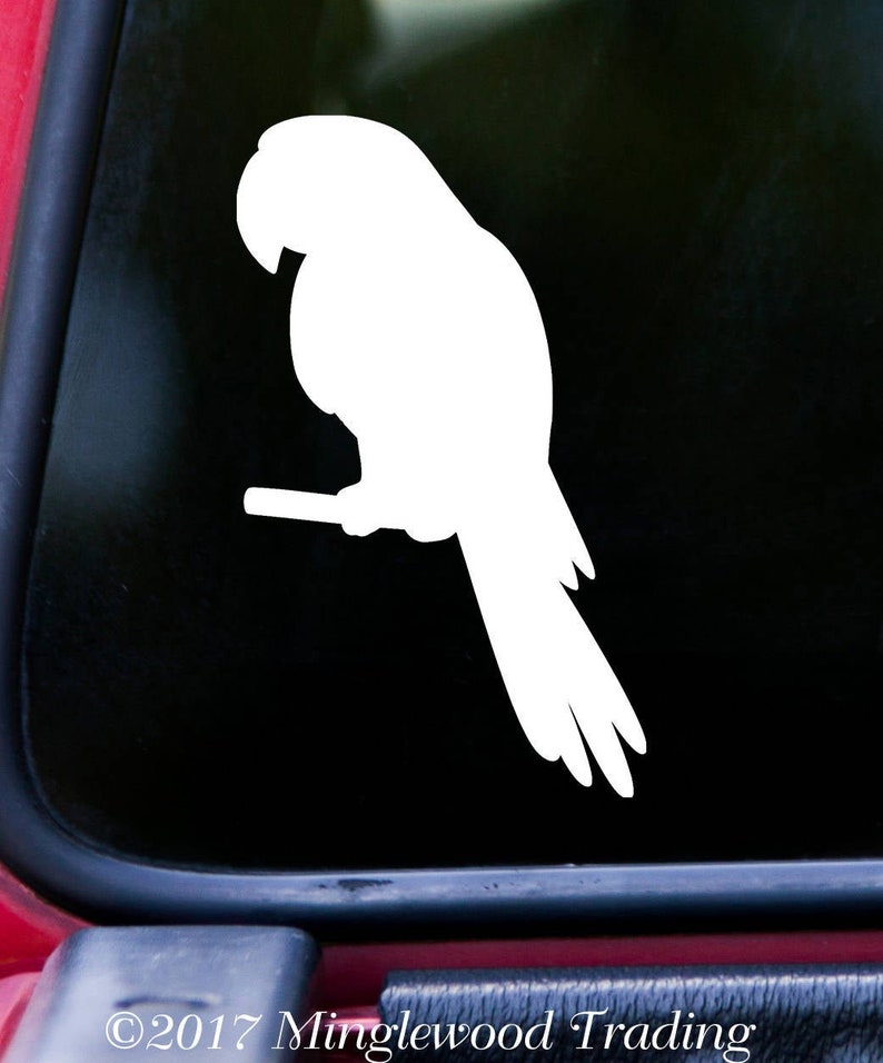 PARROT Vinyl Decal Sticker Tropical Bird African Grey - Etsy