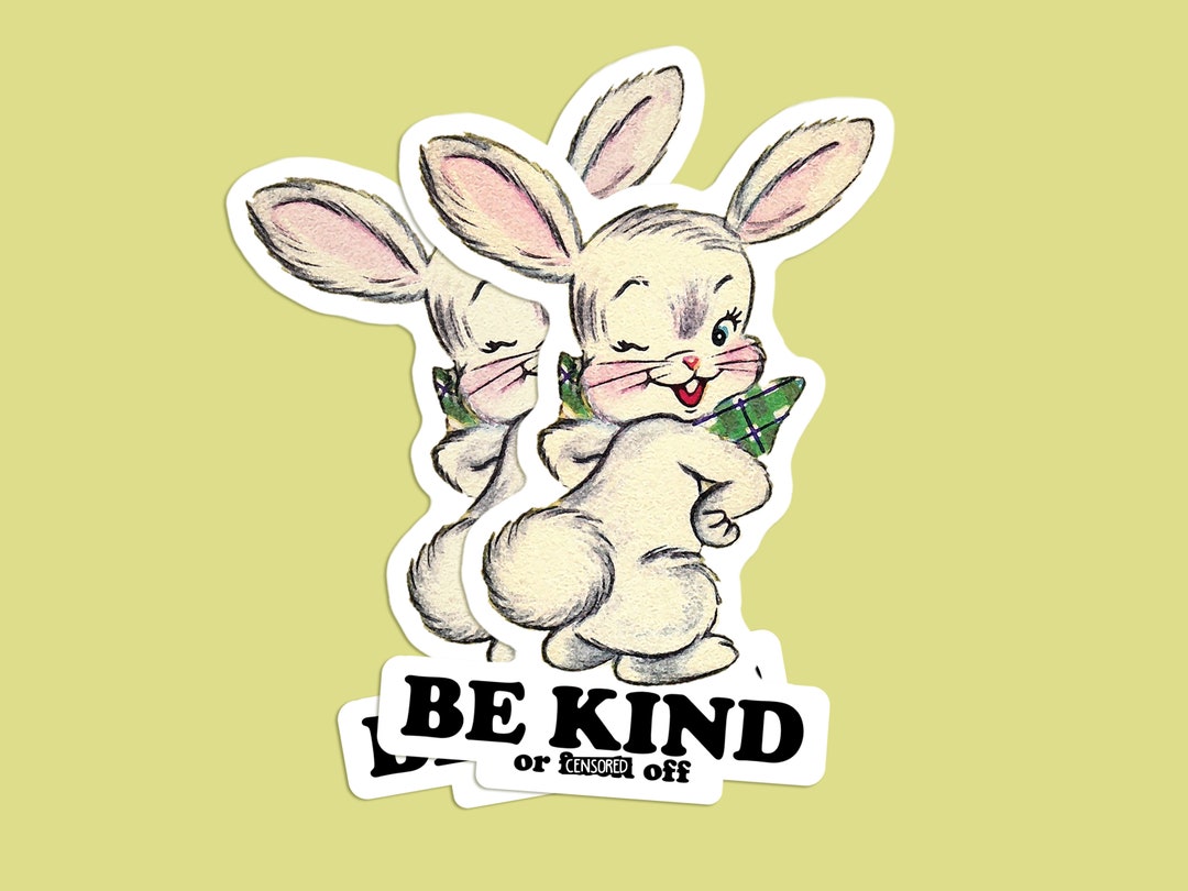 2-pack Cute Funny Bunny Die Cut Stickers Be Kind or Fck off Vinyl ...