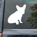 French Bulldog Sitting Vinyl Decal - Dog Frenchie Puppy - Die Cut ...