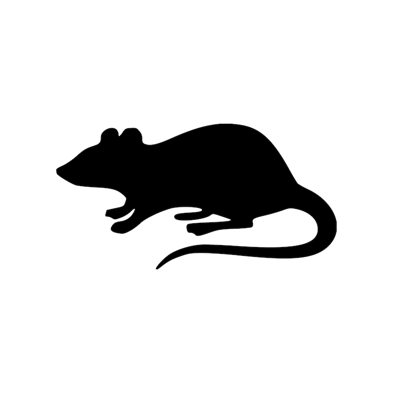 Rat Vinyl Decal Sticker Black Pack Rodent Mouse - Etsy