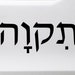 Hope in Hebrew Vinyl Decal - Tikvah Tikvat Jewish - Die Cut Sticker - Etsy