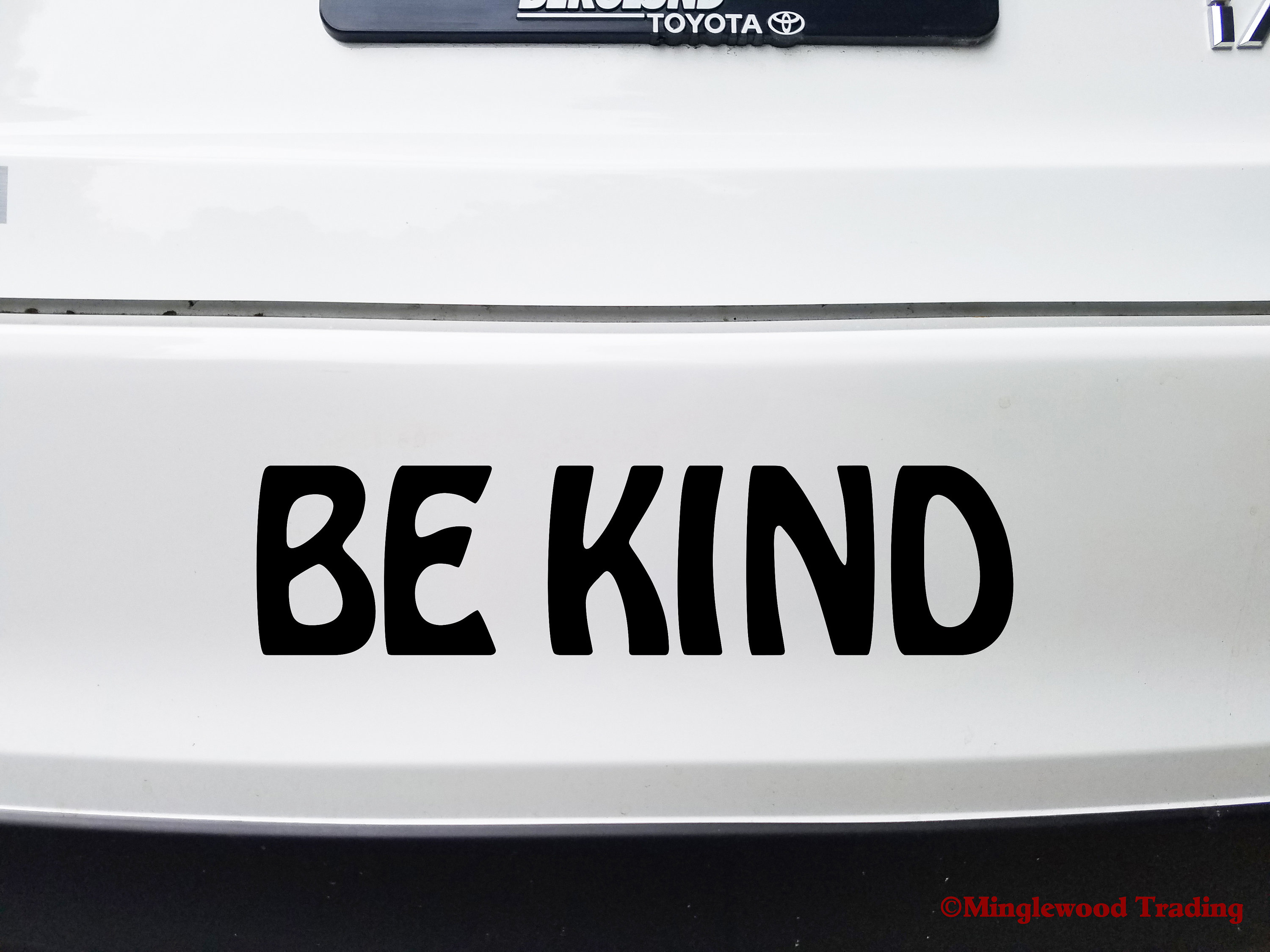 BE KIND Vinyl Decal Sticker Peace Love Coexist No War | Etsy