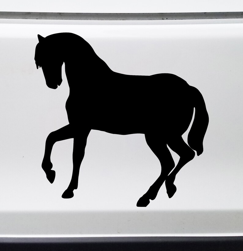 HORSE Vinyl Sticker Equine Mare Foal Pony Colt Filly | Etsy