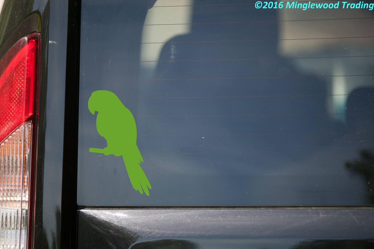 PARROT Vinyl Decal Sticker Tropical Bird African Grey - Etsy