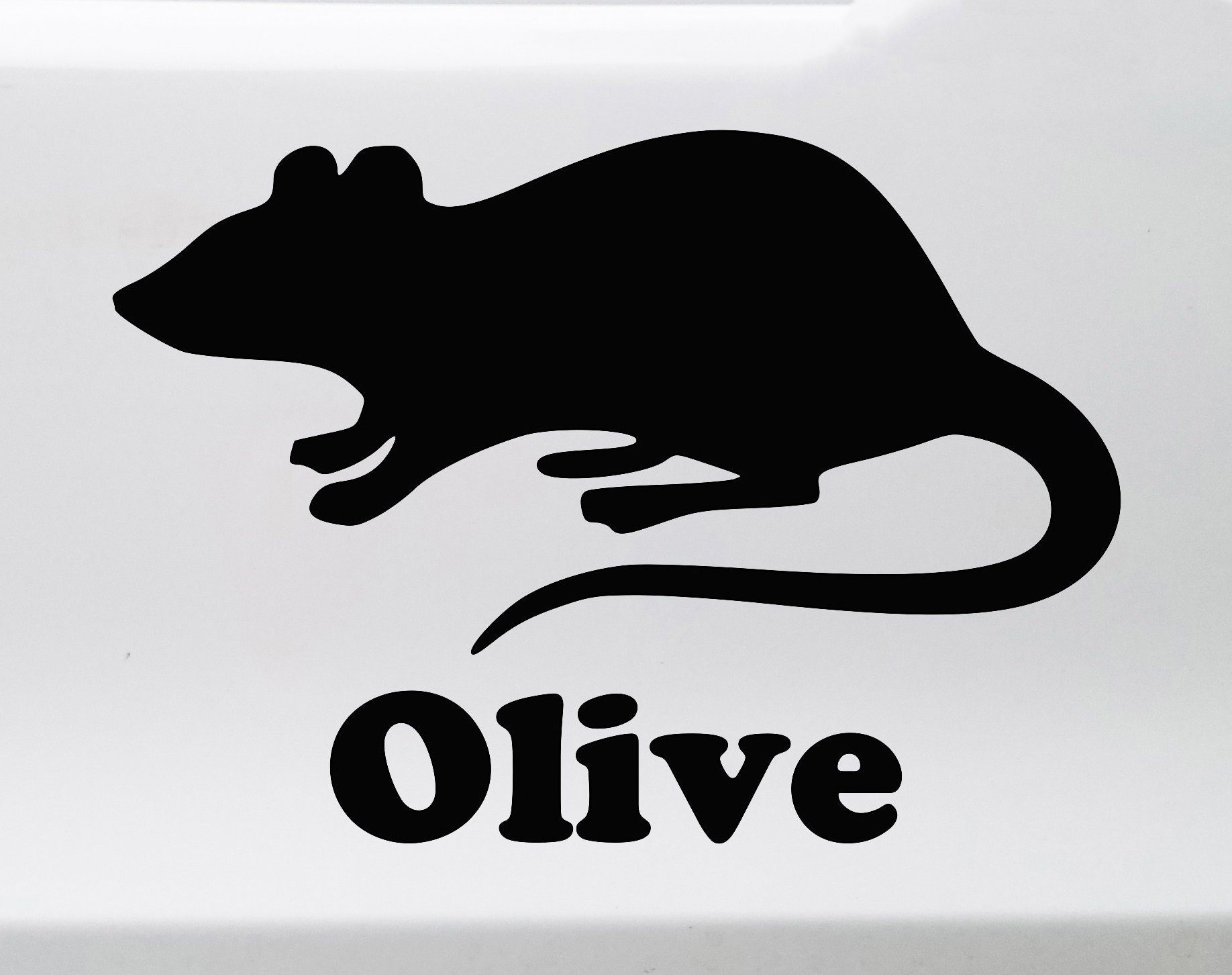 Rat With Personalized Name Vinyl Decal Rodent Pet Die Cut - Etsy UK