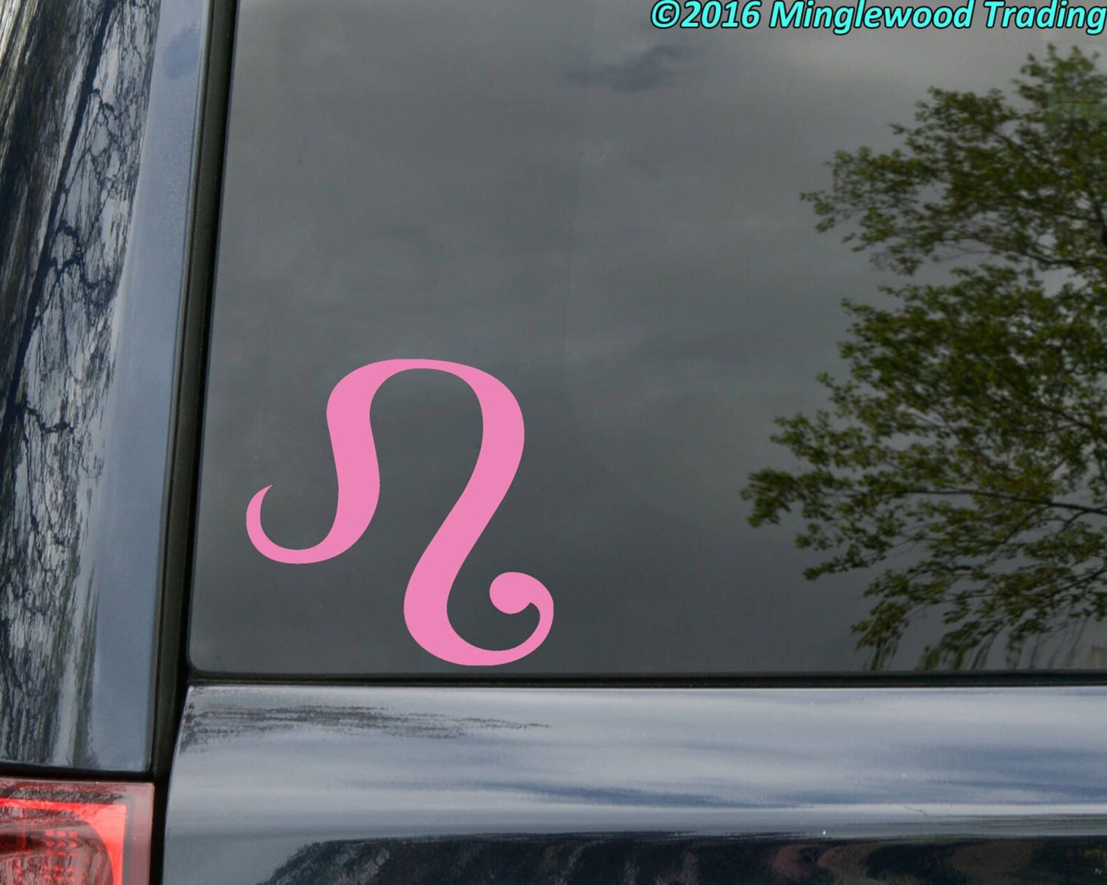 Leo Vinyl Decal Sticker Astrology Zodiac Sign Fire the Lion - Etsy