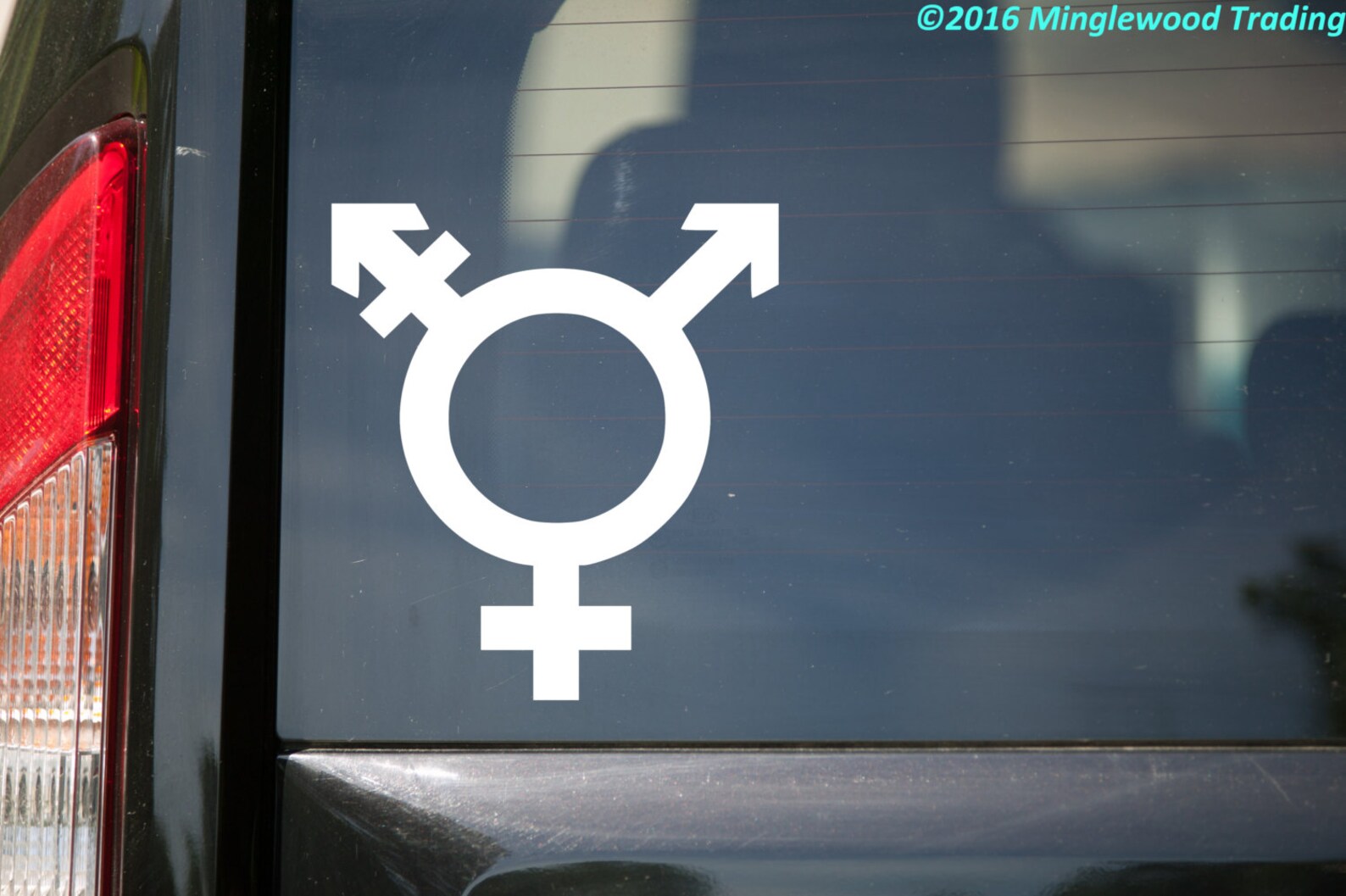 Transgender Vinyl Decal Symbol Gender Identity Trans Sign | Etsy