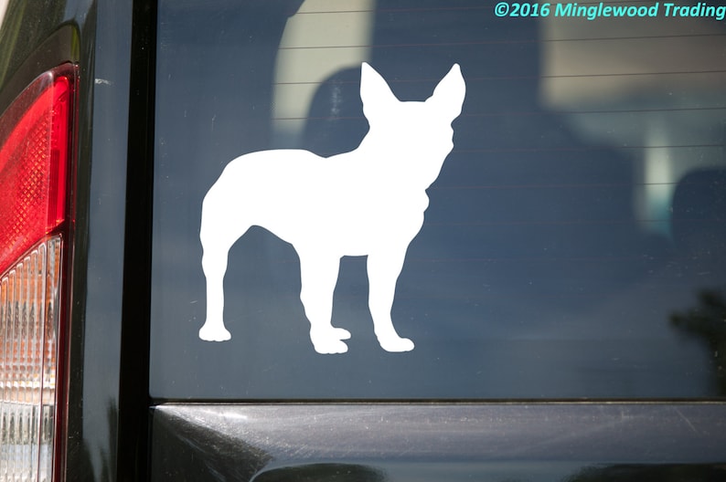 Boston Terrier Vinyl Decal Sticker Dog Bull Boxwood American - Etsy