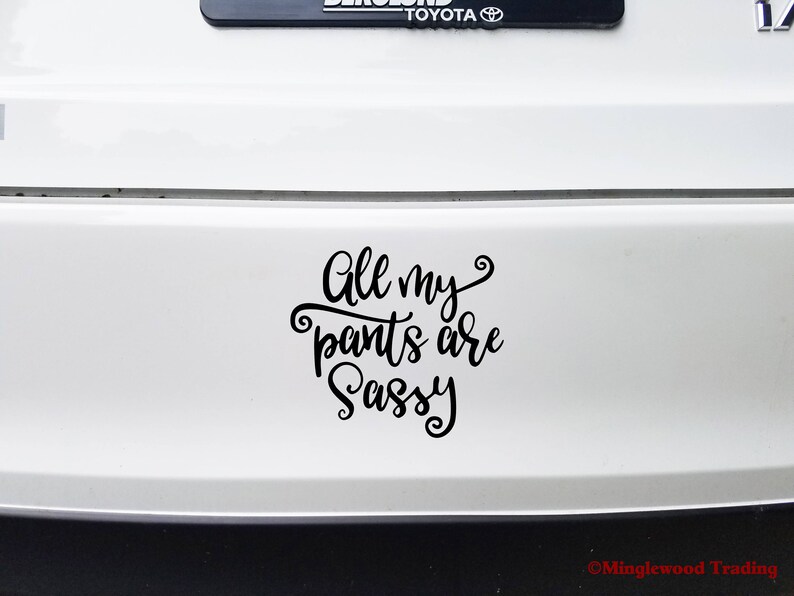 All My Pants Are Sassy - Vinyl Decal Sticker - Sassypants Attitude - Etsy