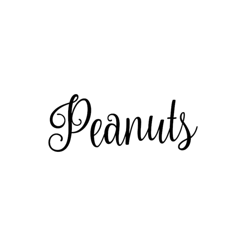 Peanuts Vinyl Sticker - Kitchen Pantry Organization Label - Die Cut ...