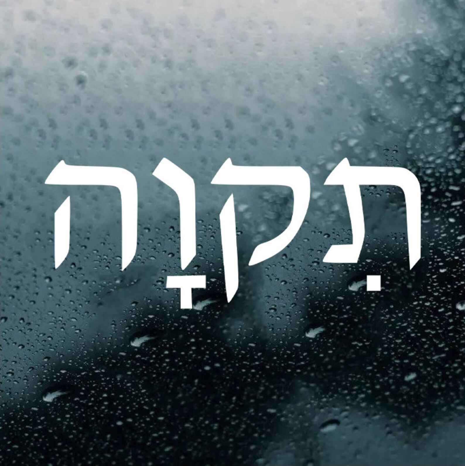 Hope in Hebrew Vinyl Decal - Tikvah Tikvat Jewish - Die Cut Sticker - Etsy