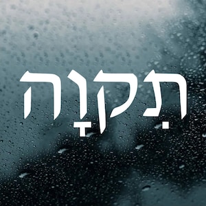 Hope in Hebrew Vinyl Decal - Tikvah Tikvat Jewish - Die Cut Sticker - Etsy