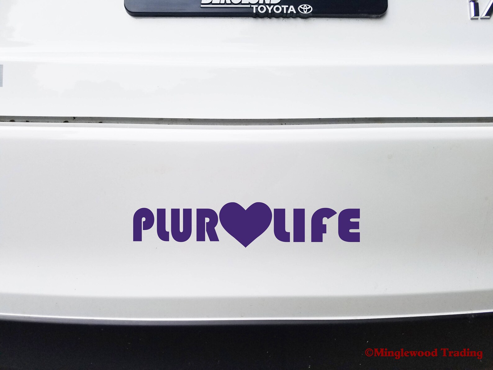 PLUR LIFE V1 Vinyl Decal Bumper Sticker Peace Love Unity - Etsy