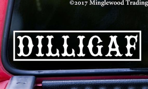 DILLIGAF Vinyl Decal Sticker 8.5 x 2 Do I Look | Etsy