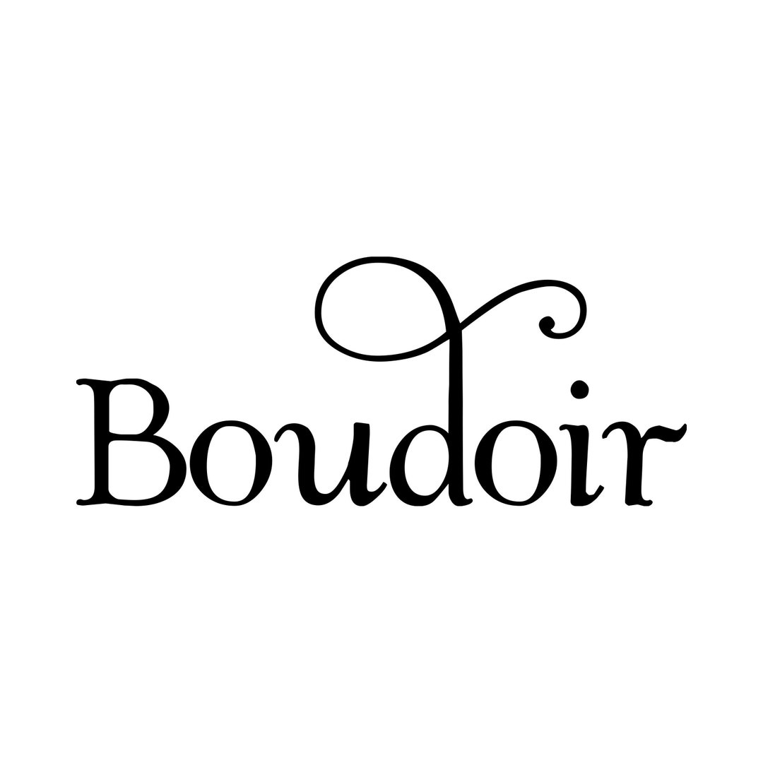 Boudoir Vinyl Decal Sticker V1 - Bedroom Sitting Room Salon SWASH - Etsy