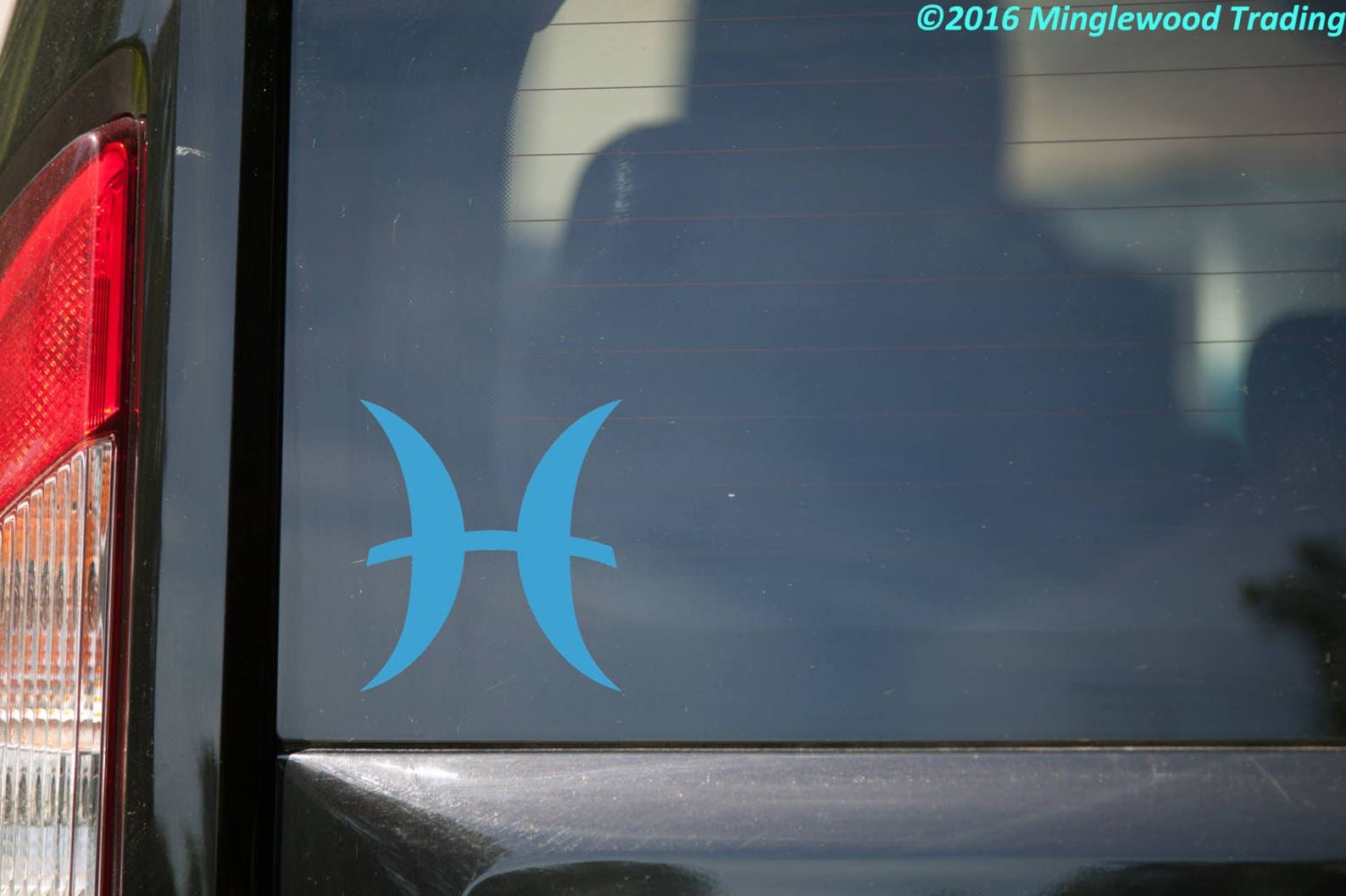 PISCES Vinyl Decal Sticker Astrology Zodiac Sign Water the | Etsy