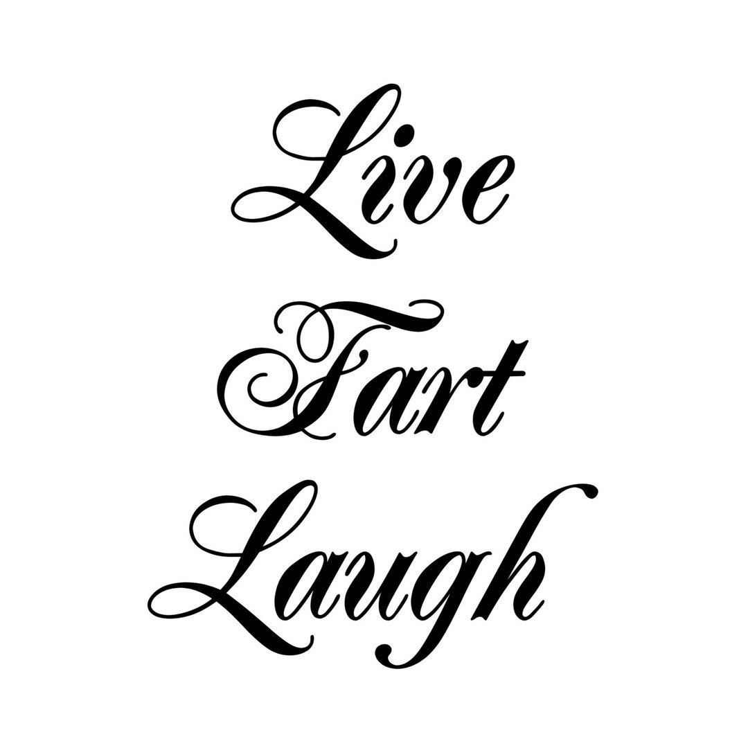 Live Fart Laugh Vinyl Decal Sticker - Laughter Life Happy - Etsy