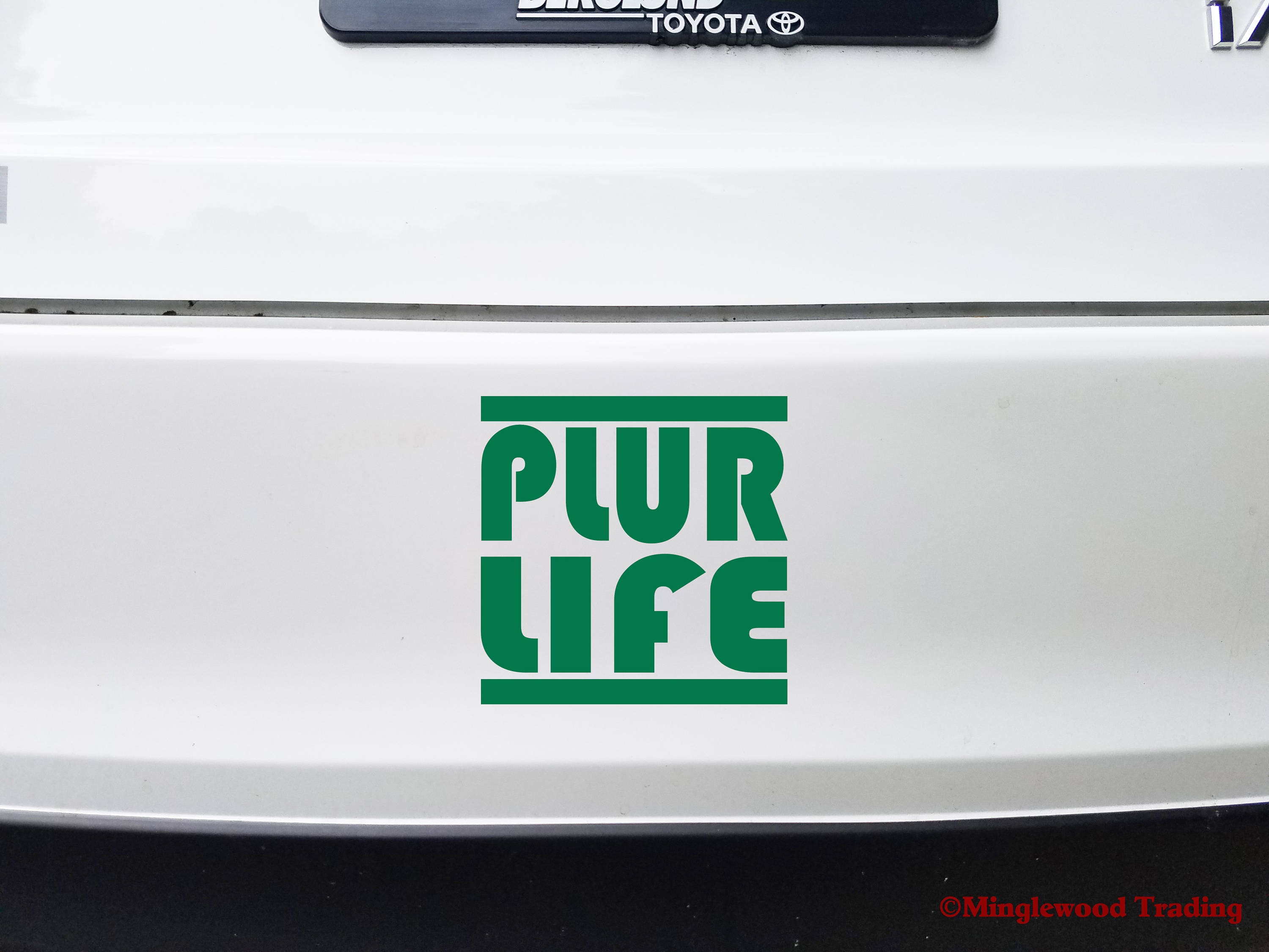 PLUR LIFE V2 Vinyl Decal Bumper Sticker Peace Love Unity | Etsy