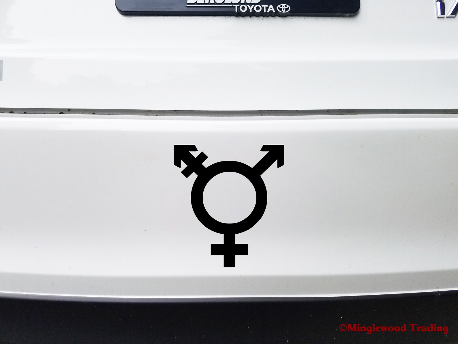 Transgender Vinyl Decal Symbol Gender Identity Trans Sign | Etsy