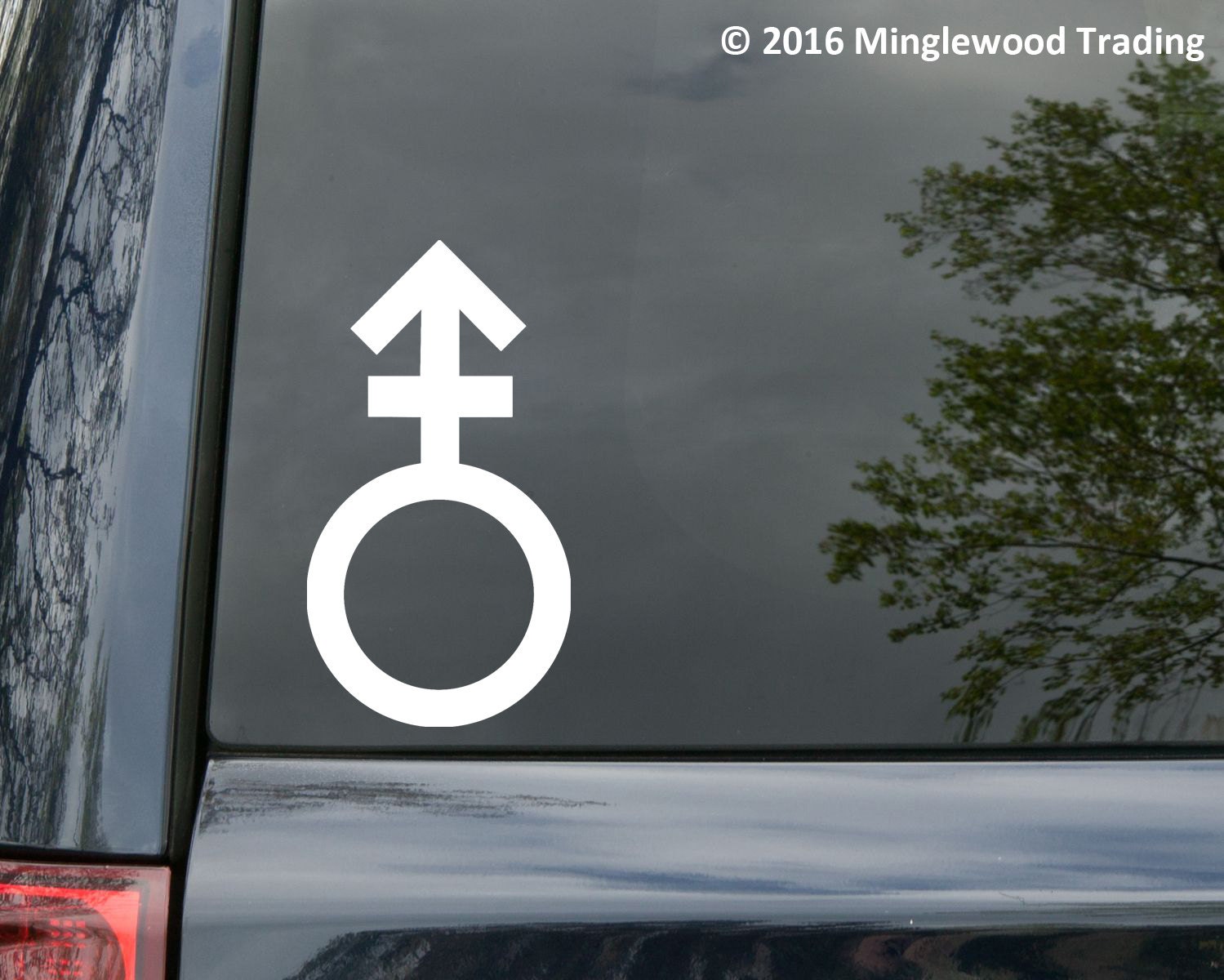 ANDROGYNOUS GENDER Vinyl Decal Sticker Symbol Sign Androgyny | Etsy