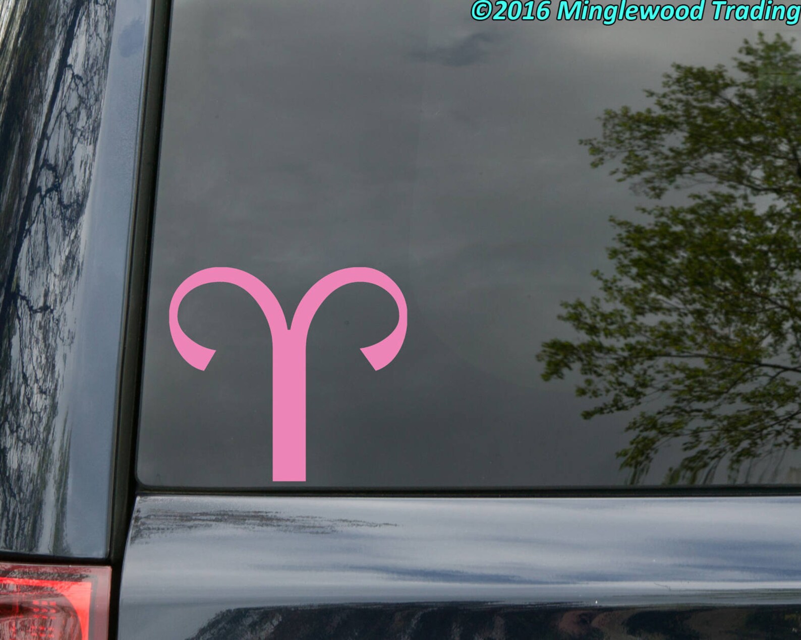 ARIES Vinyl Decal Sticker for Car Astrology Zodiac Sign - Etsy
